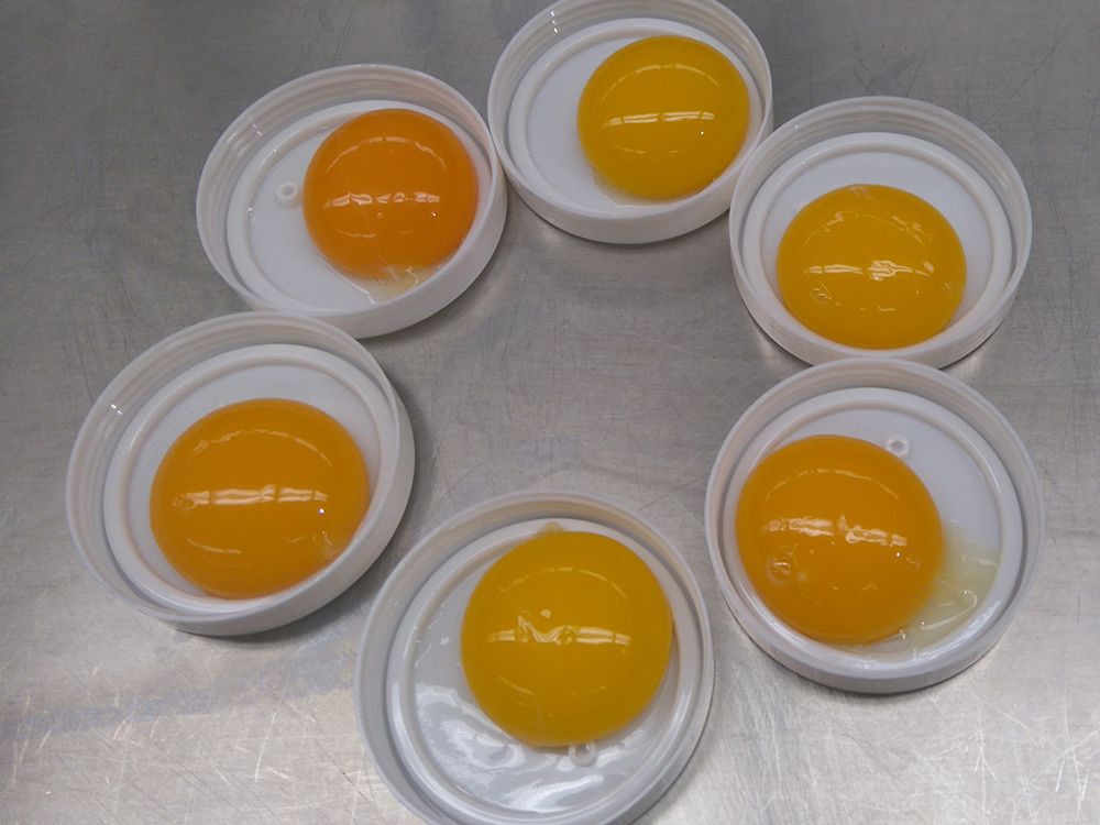 Why are egg yolks different colours? From pale yellow to dark orange ...