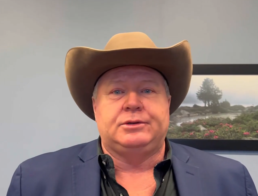 With NDP facing collapse, Singh walks back pledge to defeat Liberals ...