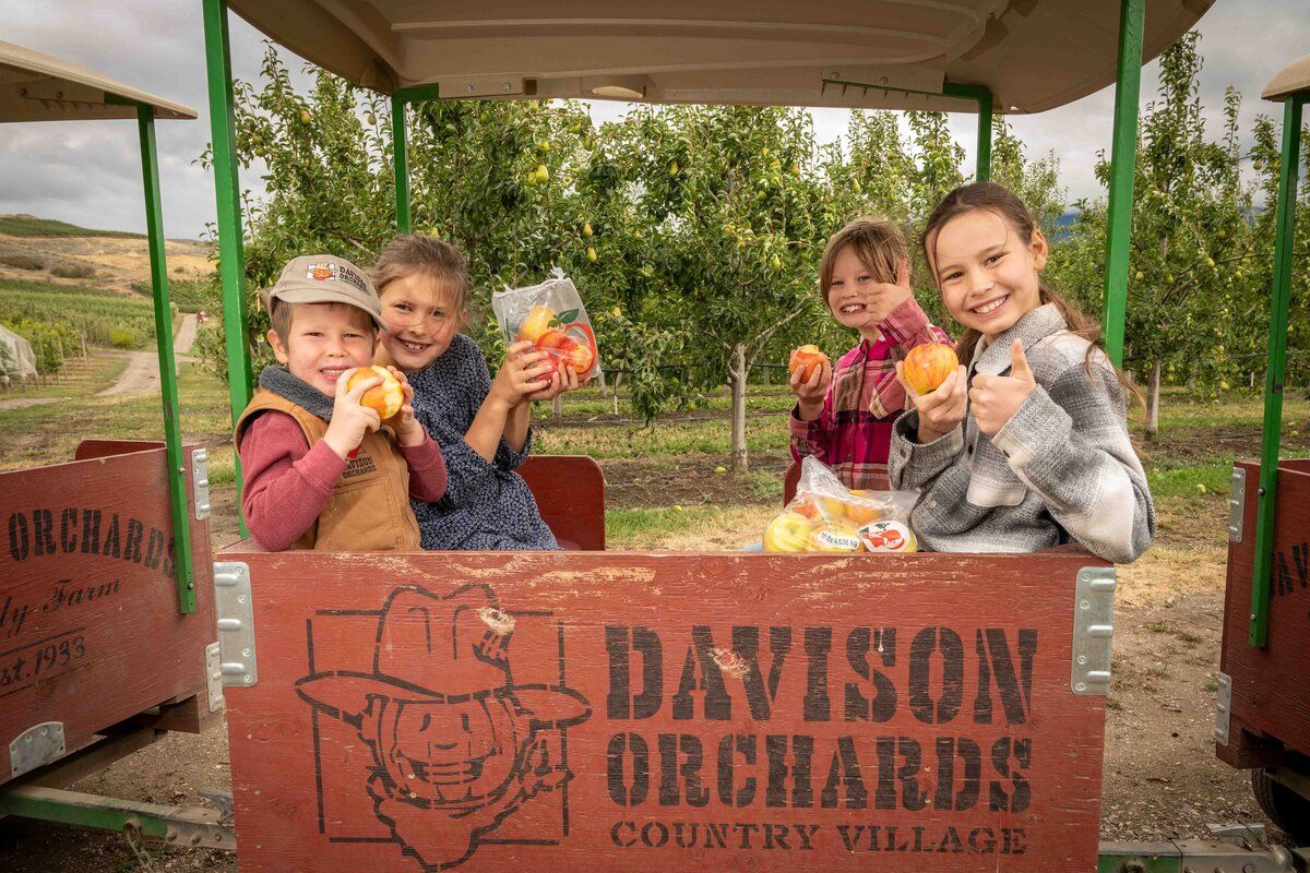 Only in autumn: Experience Vernon’s harvest season before it slips away ...