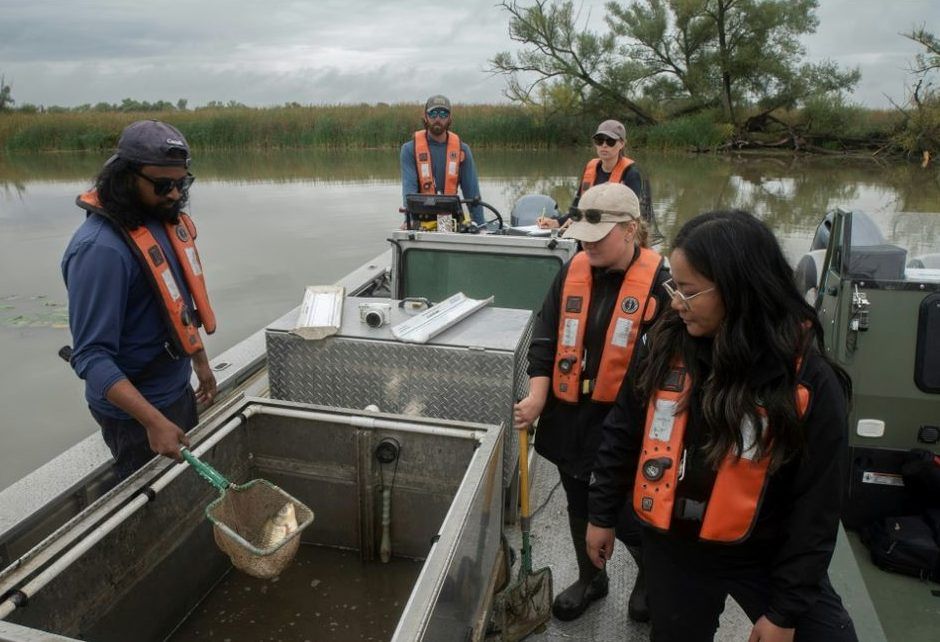 The U.S. and Canada's common enemy: invasive and voracious carp ...