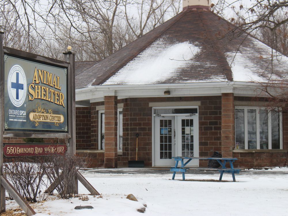 Cornwall set to save up to $58,000 in new OSPCA contract | Cornwall ...