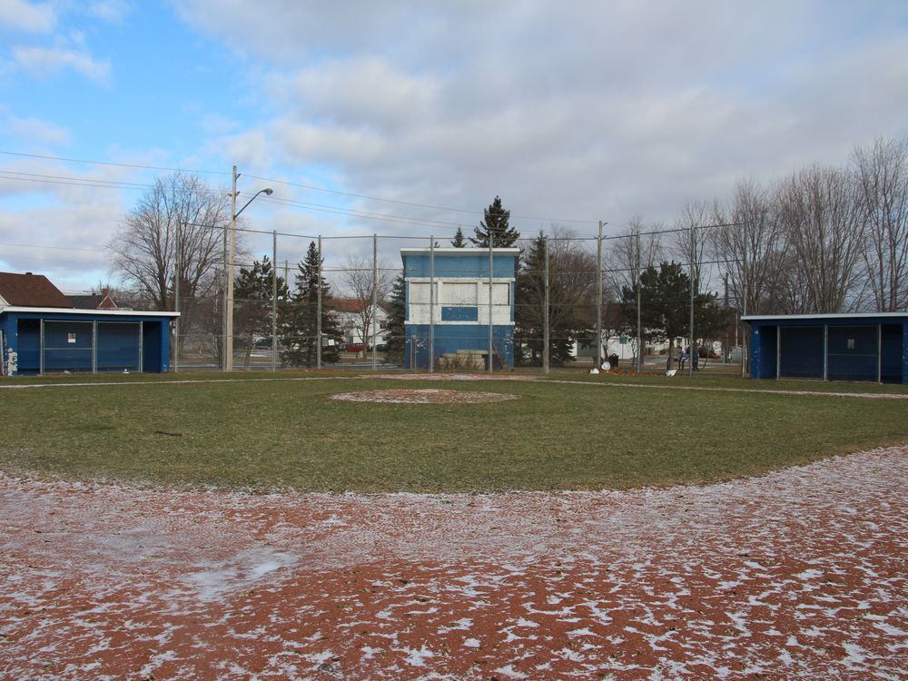 Comedy fundraiser for Cornwall baseball hosts Juno nominee | Cornwall ...