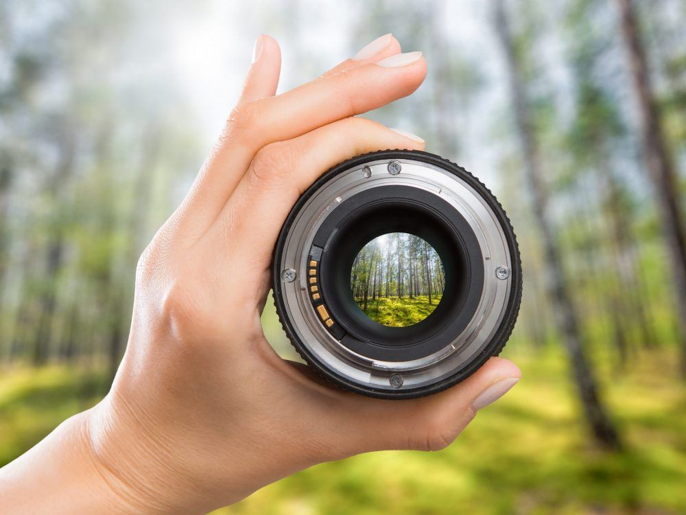 Rewards of photography | Ontario Farmer