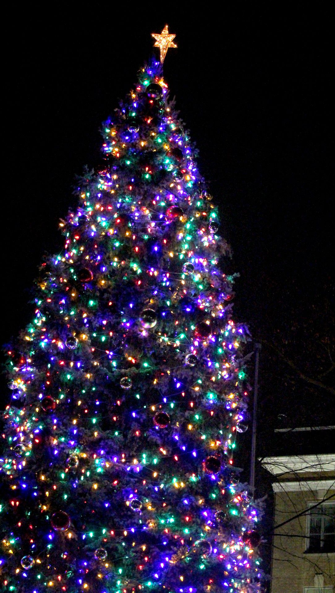 Plaza debut coincides with Tree Lighting and Moonlight Magic | Sault ...
