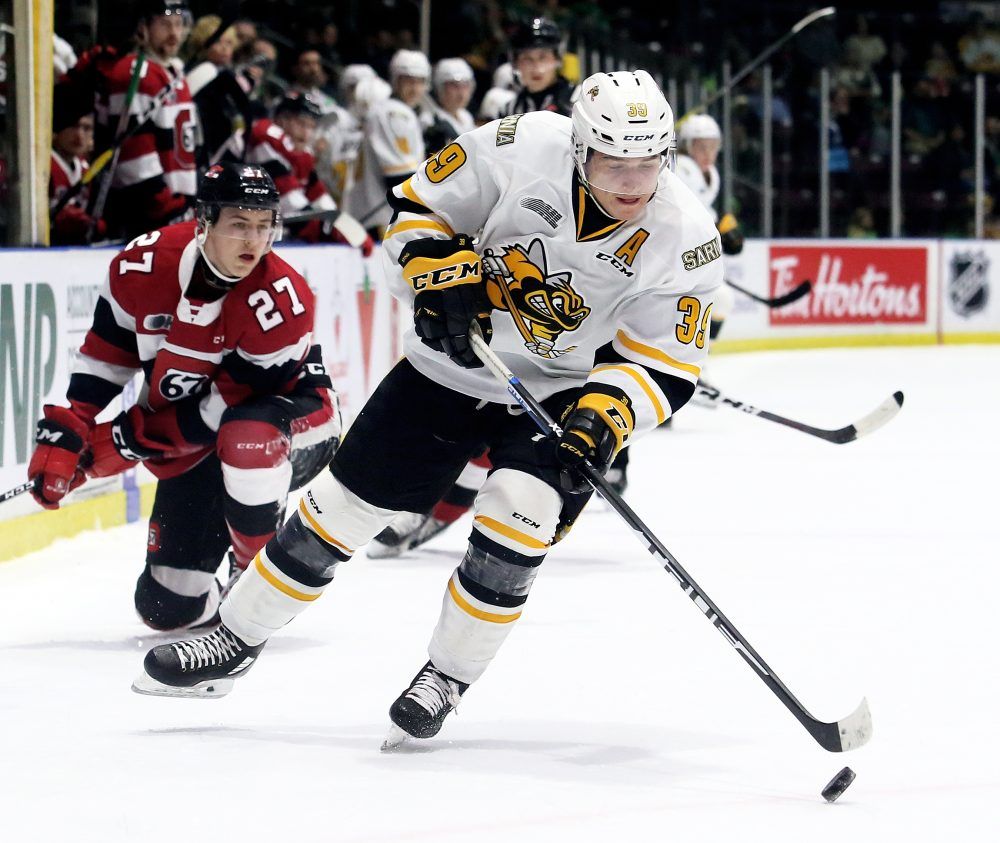 Rees ready to do the dirty work to make Team Canada | The Sarnia Observer