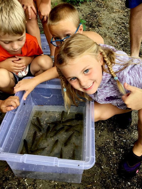 Frontenac Arch Biosphere expands nature camps | Brockville Recorder & Times