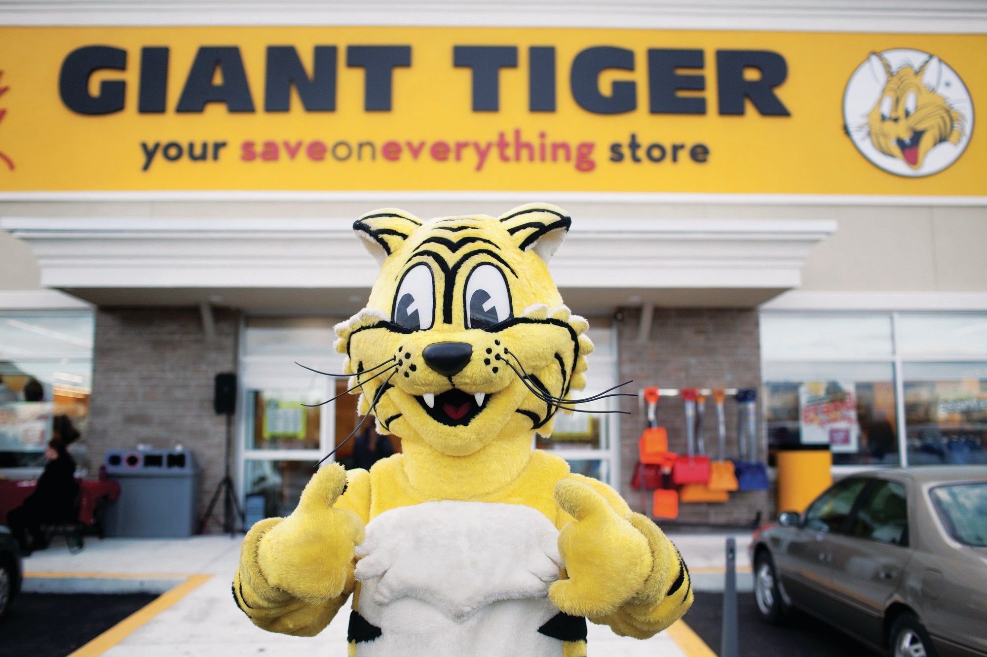 Fans ready to pounce on Giant Tiger | Sault Star