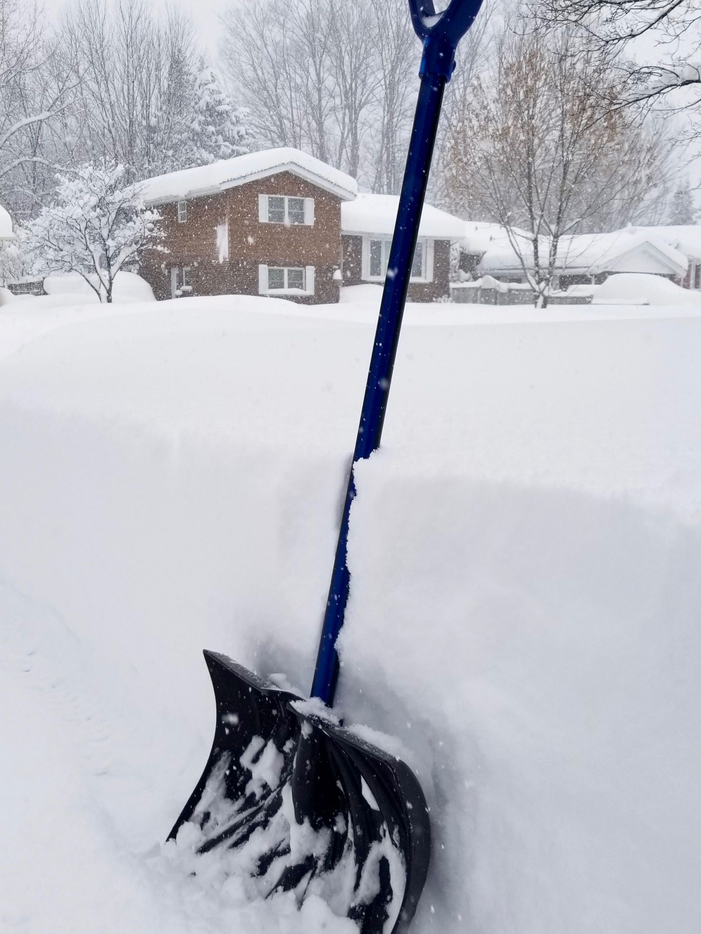 Greater Sudbury area under a snow squall watch | Sudbury Star