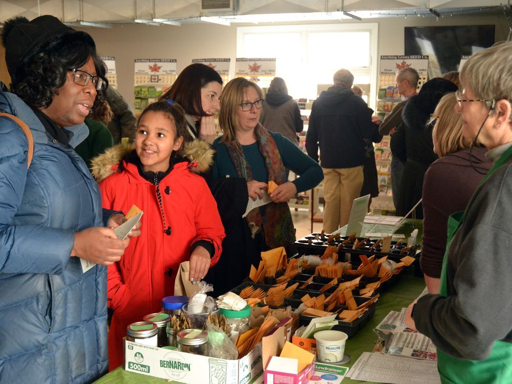 Seedy Sunday is back at the Local Community Food Centre | The Stratford ...