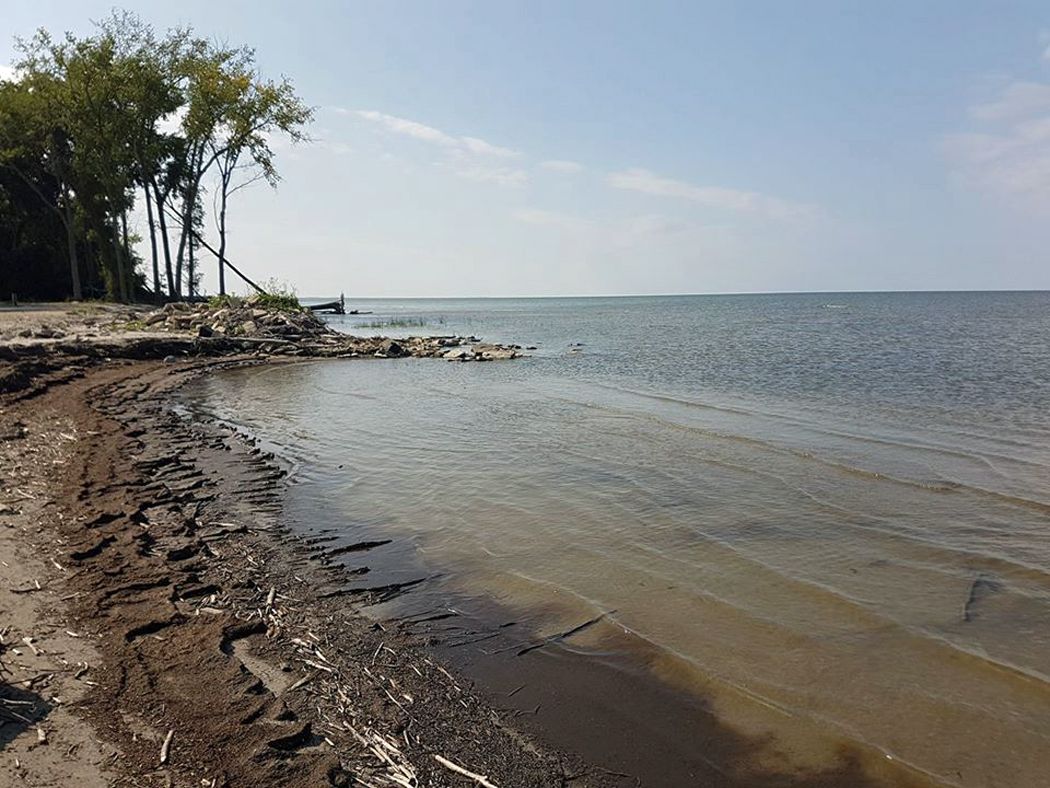 RCMP: Bystander helps with water rescue at Delta Beach | The Graphic Leader