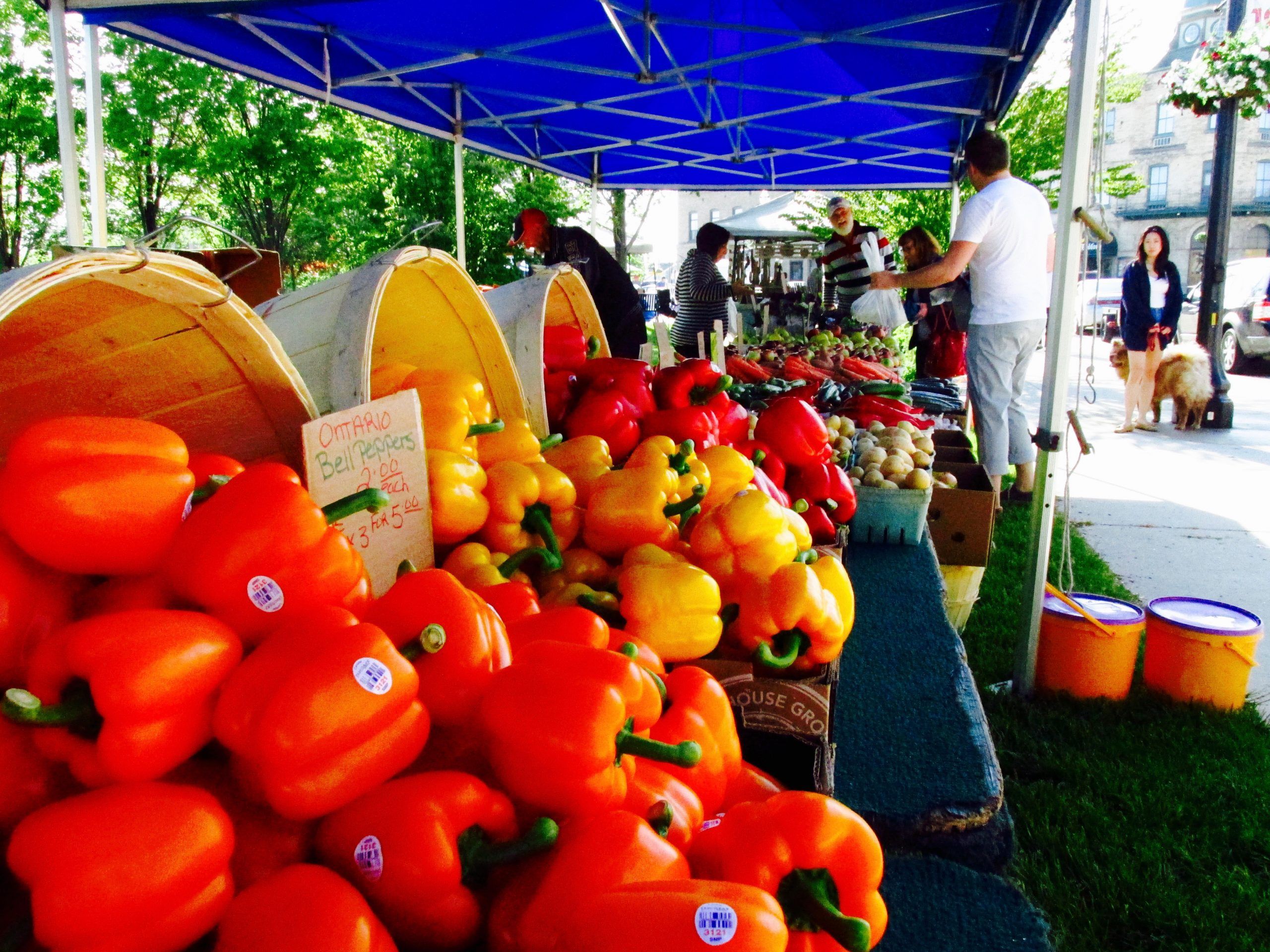 Council invokes 90-day cancellation of contract for Farmers’ Market ...