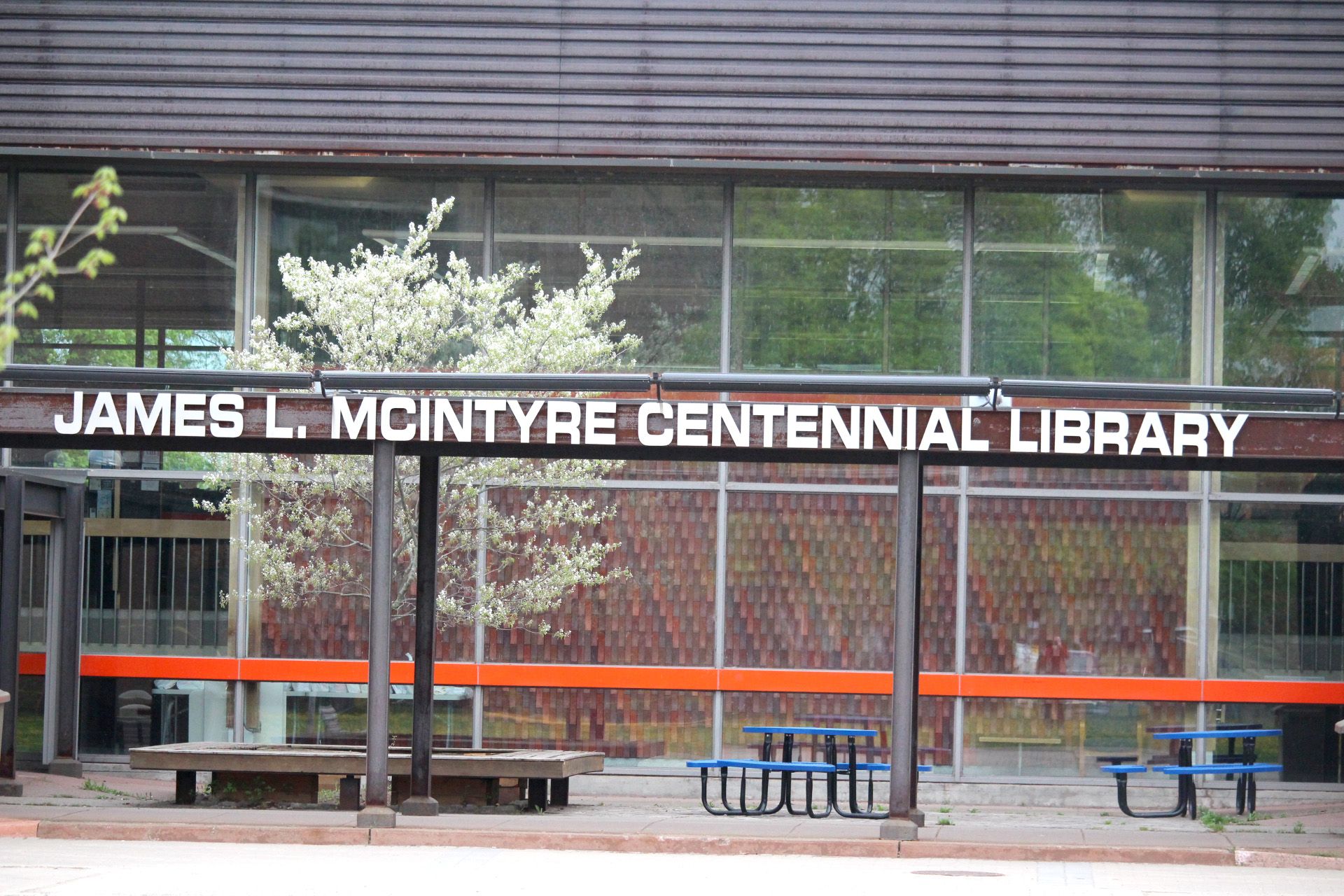 James L. McIntyre Centennial Library reopens | Sault This Week