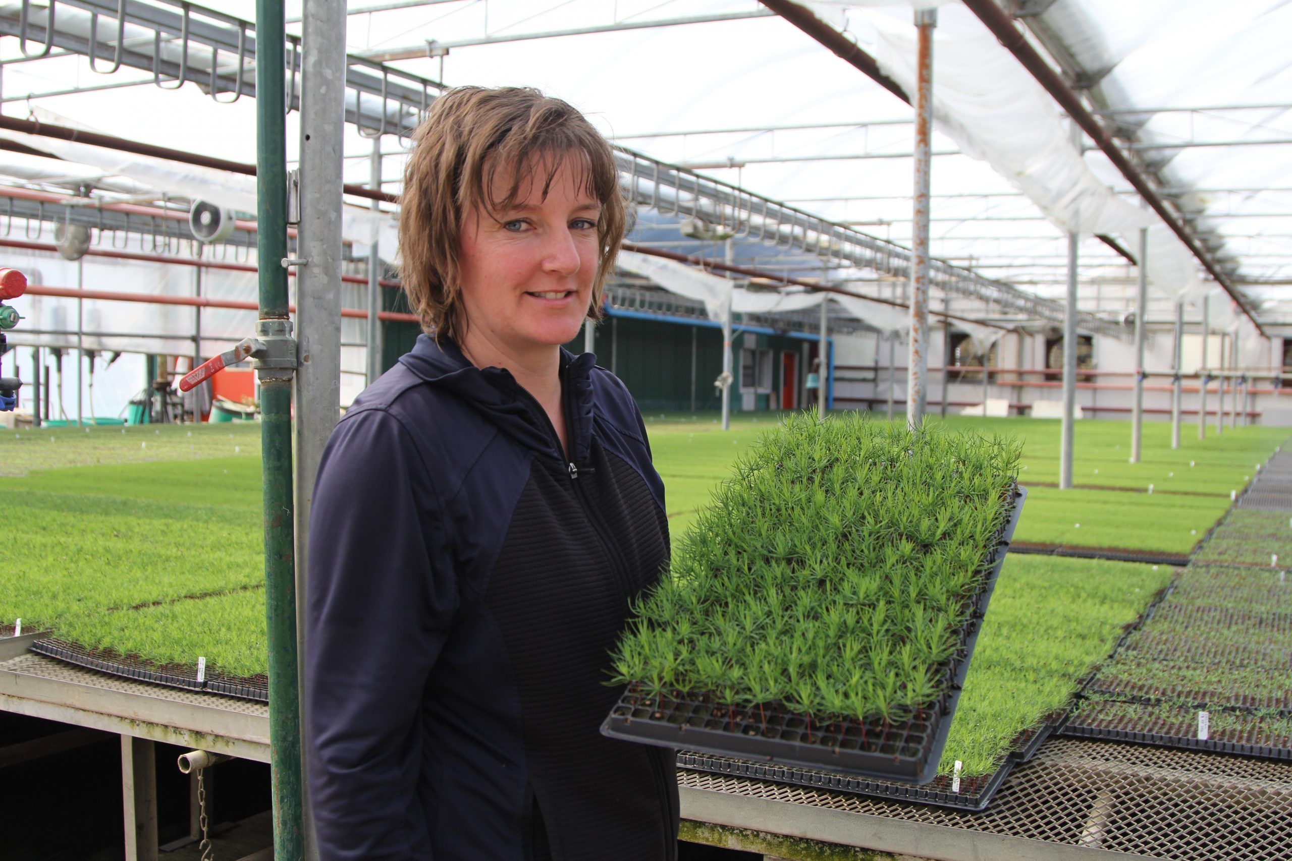 Millson Forestry gearing up for busy summer | The Daily Press