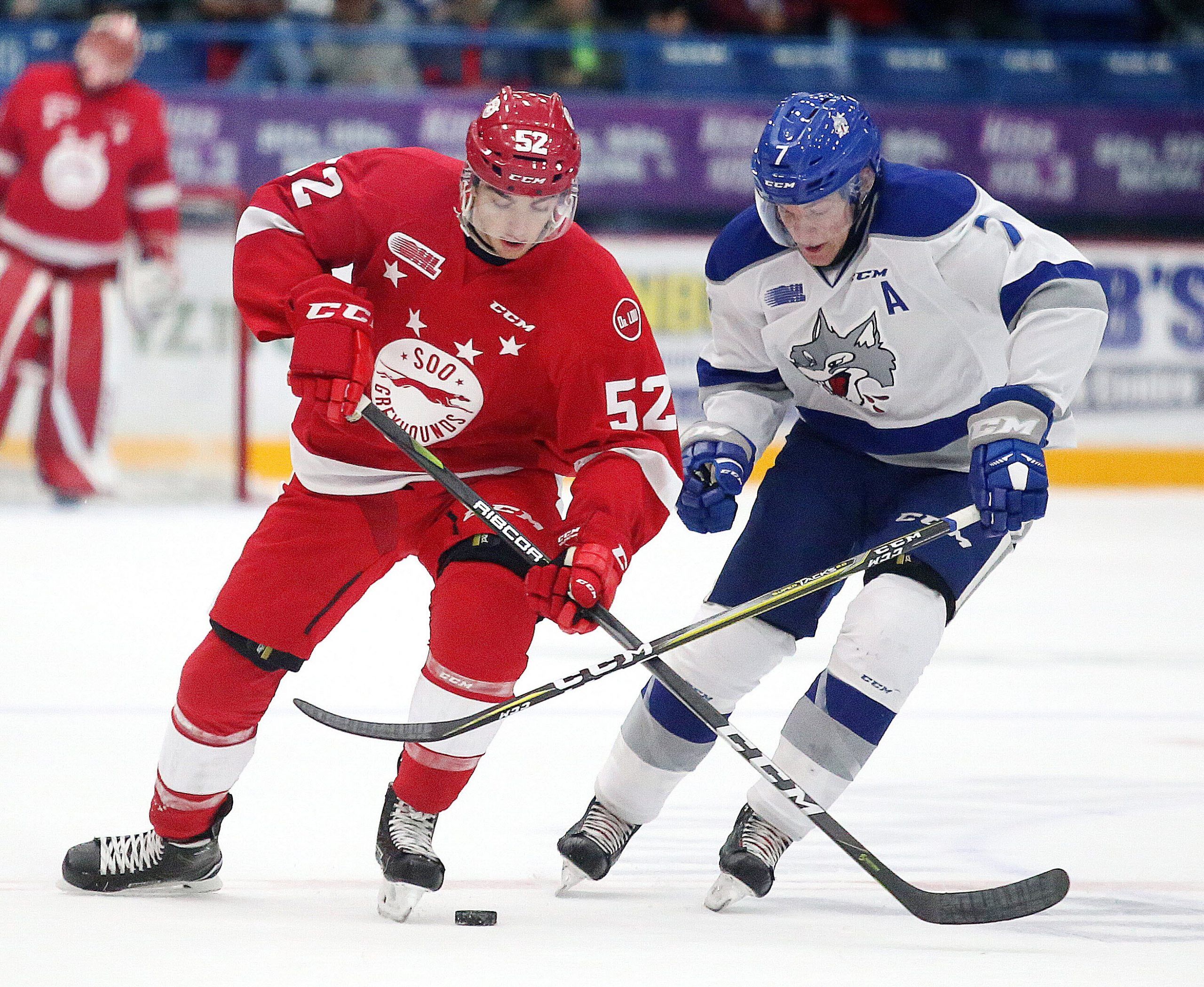 Reagan O’Grady paves new path to OHL coaching career with Owen Sound ...