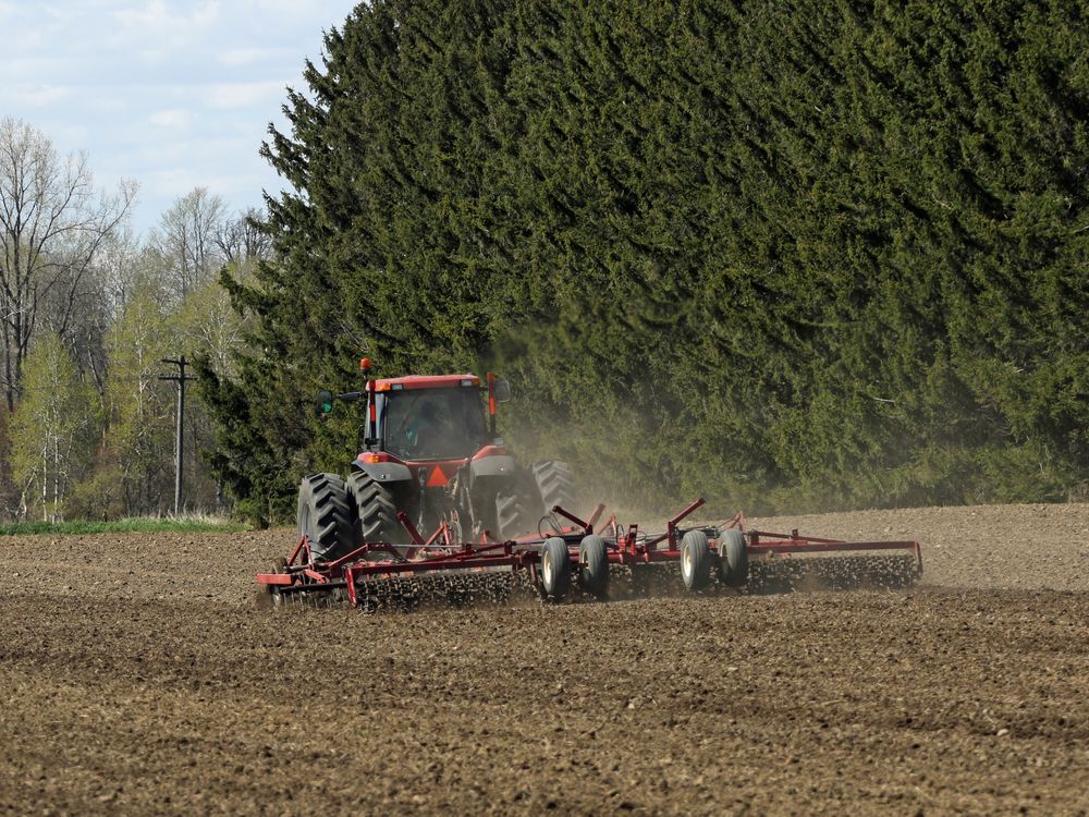 Federal, provincial funding to help local agri-food projects | The ...
