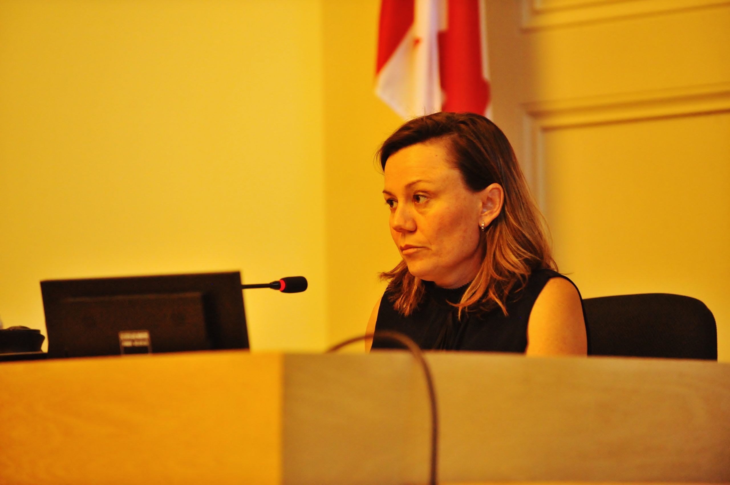 Councillors take mayor to task | Tillsonburg News