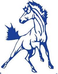 Mustangs' magical volleyball run ends | Brantford Expositor