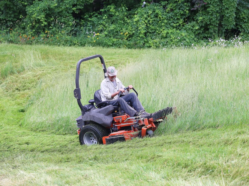 Mow, mow, mow your grass in Sudbury | Sudbury Star