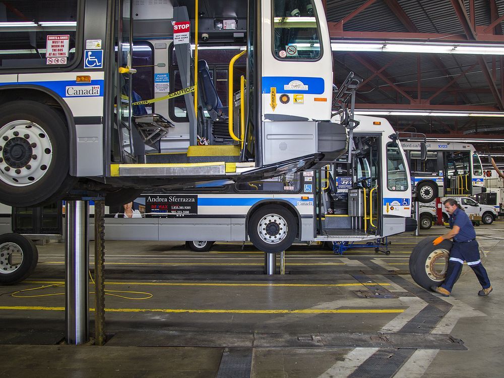 Brantford Transit receives boost | Brantford Expositor