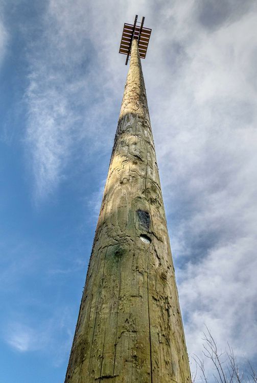 Osprey nest box, newest project to protect natural area in Bayfield ...