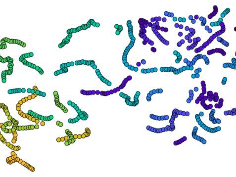 Queen’s researchers discover 'thought worms' | The Kingston Whig Standard