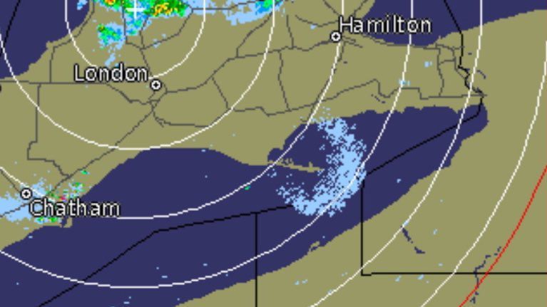 Thousands of birds show as rain on weather radar | Brantford Expositor