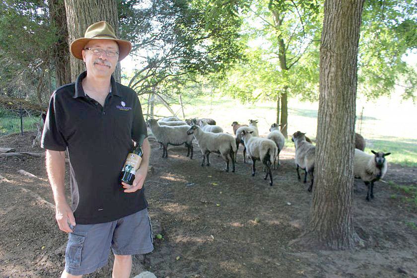 'Sheep Wine' launched by Lambton wine pioneers | Ontario Farmer