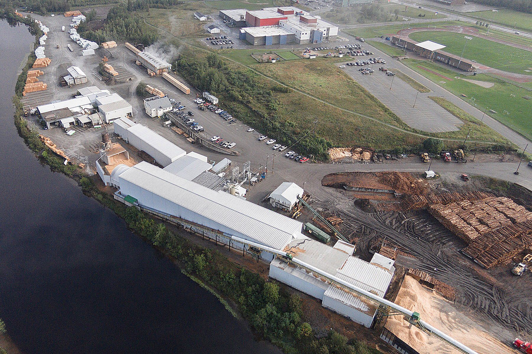 Province releases provincial forestry strategy | The Daily Press