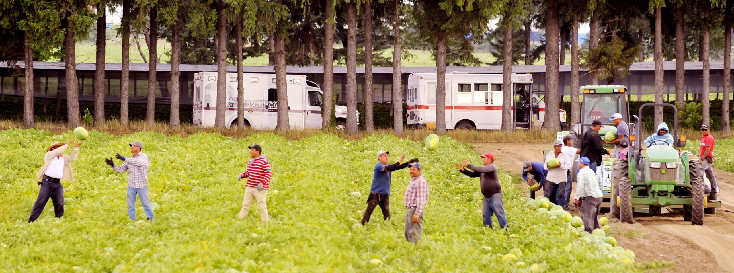 Farmer won't attempt appeal of court's bunkhouse decision | Simcoe Reformer