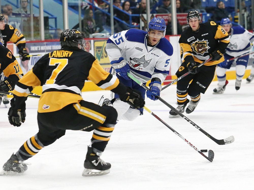 Wolves, OHL look to next season as league officially cancels 2020-21 ...