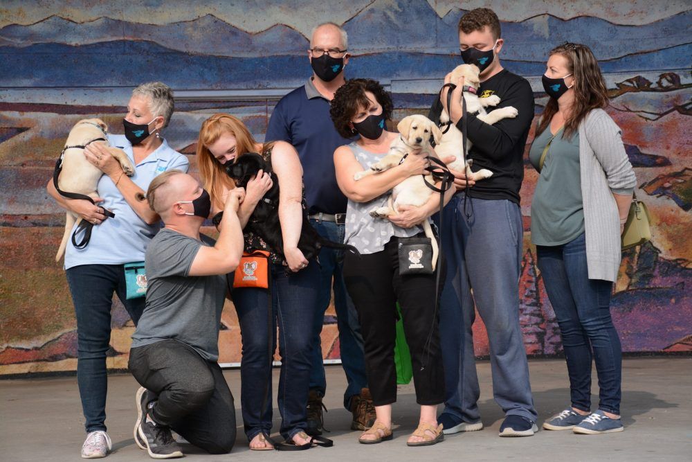 Future service dogs paired with foster families | Grande Prairie Daily ...