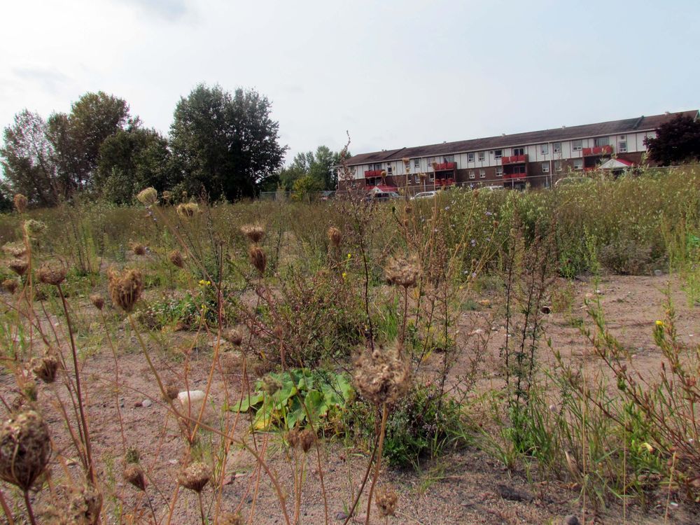 Did the City overpay for former Studio 10 property? | Sault Star