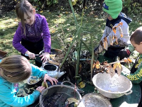 Nature Based Kindergarten pushing on through pandemic | Spruce Grove ...