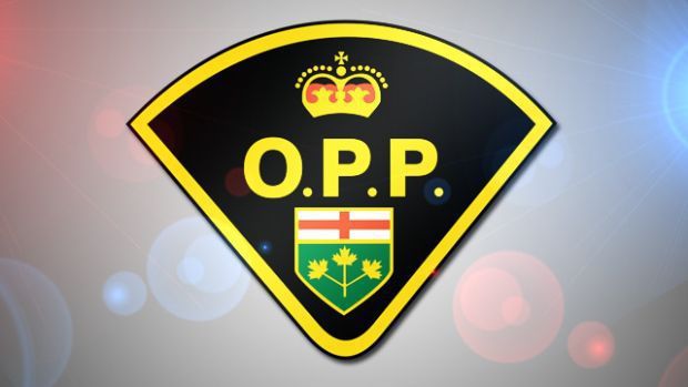 SDG OPP lay nine charges after domestic situation | Cornwall Standard ...