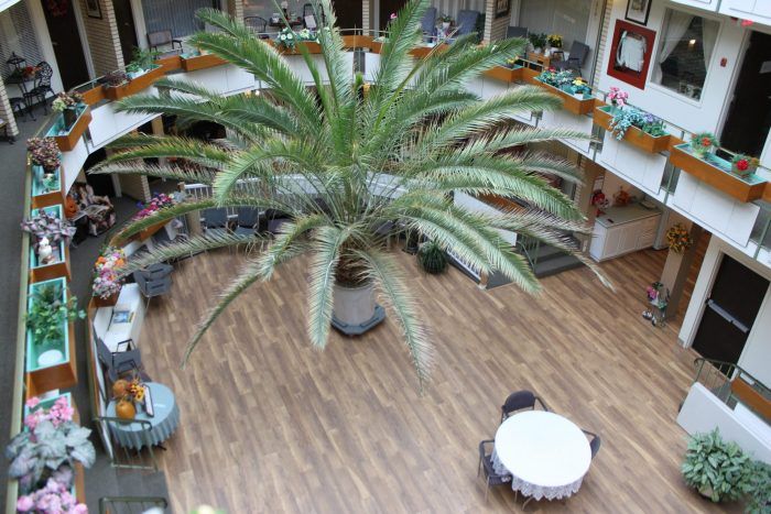 Clover Bar Pioneer Court celebrates 50 years | Sherwood Park News