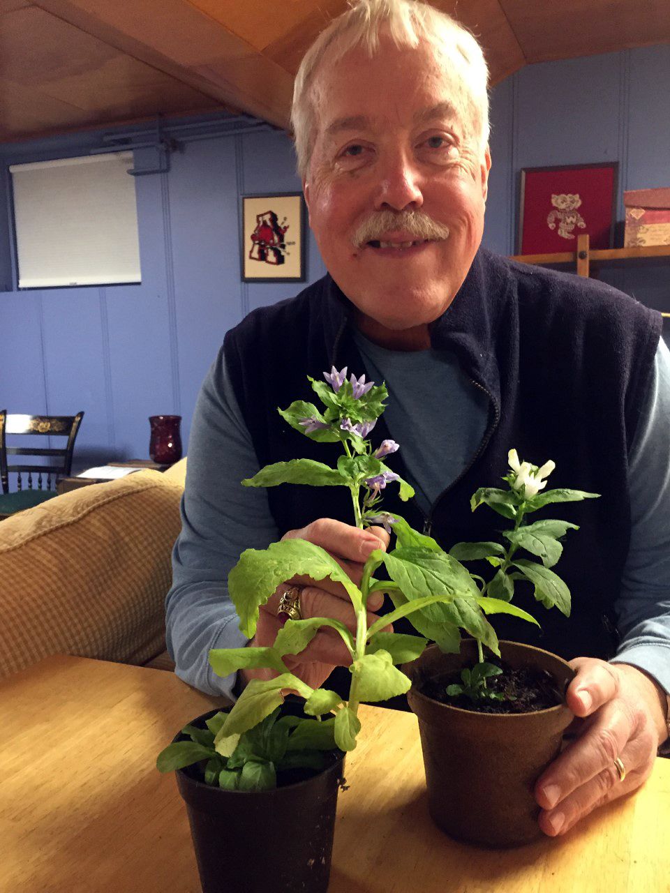 Wildflower restoration gets firmer roots | Sault Star