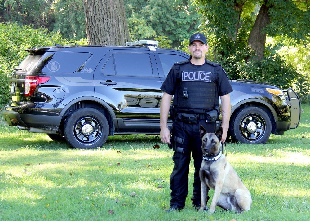 Chatham-Kent police canine unit recognized for stellar work | Chatham ...