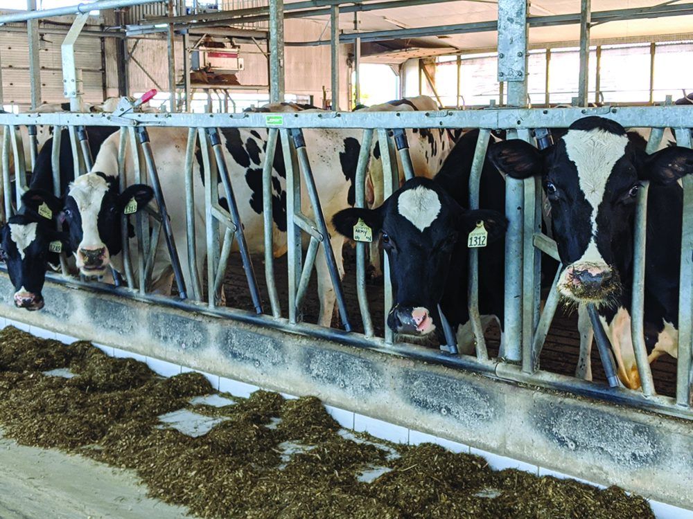 New app streamlines barn equipment maintenance and tracks associated ...