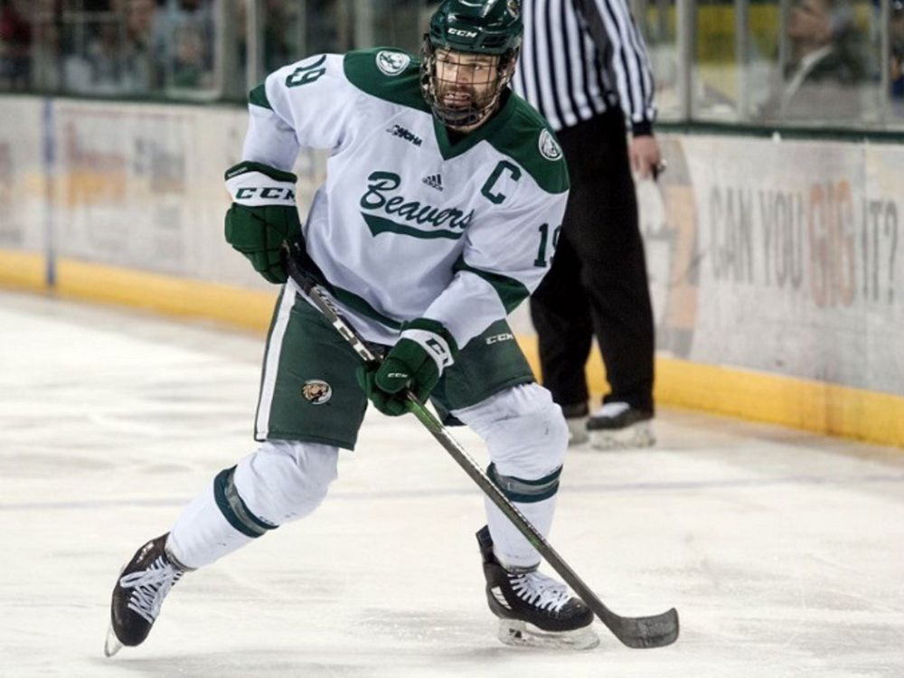 With AHL deal, Brady 'ready to play hockey again' | Brantford Expositor