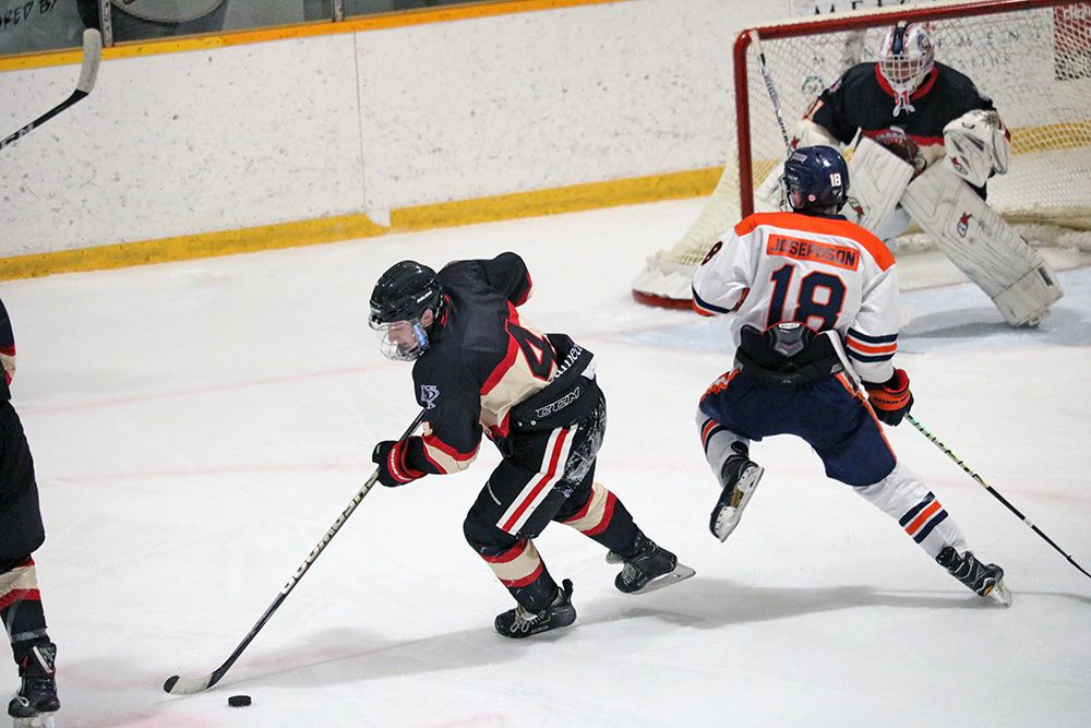 Thunderbirds awaiting news | Sault Star