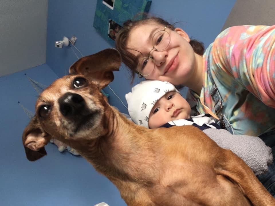 Have you seen Poppy? | The Graphic Leader