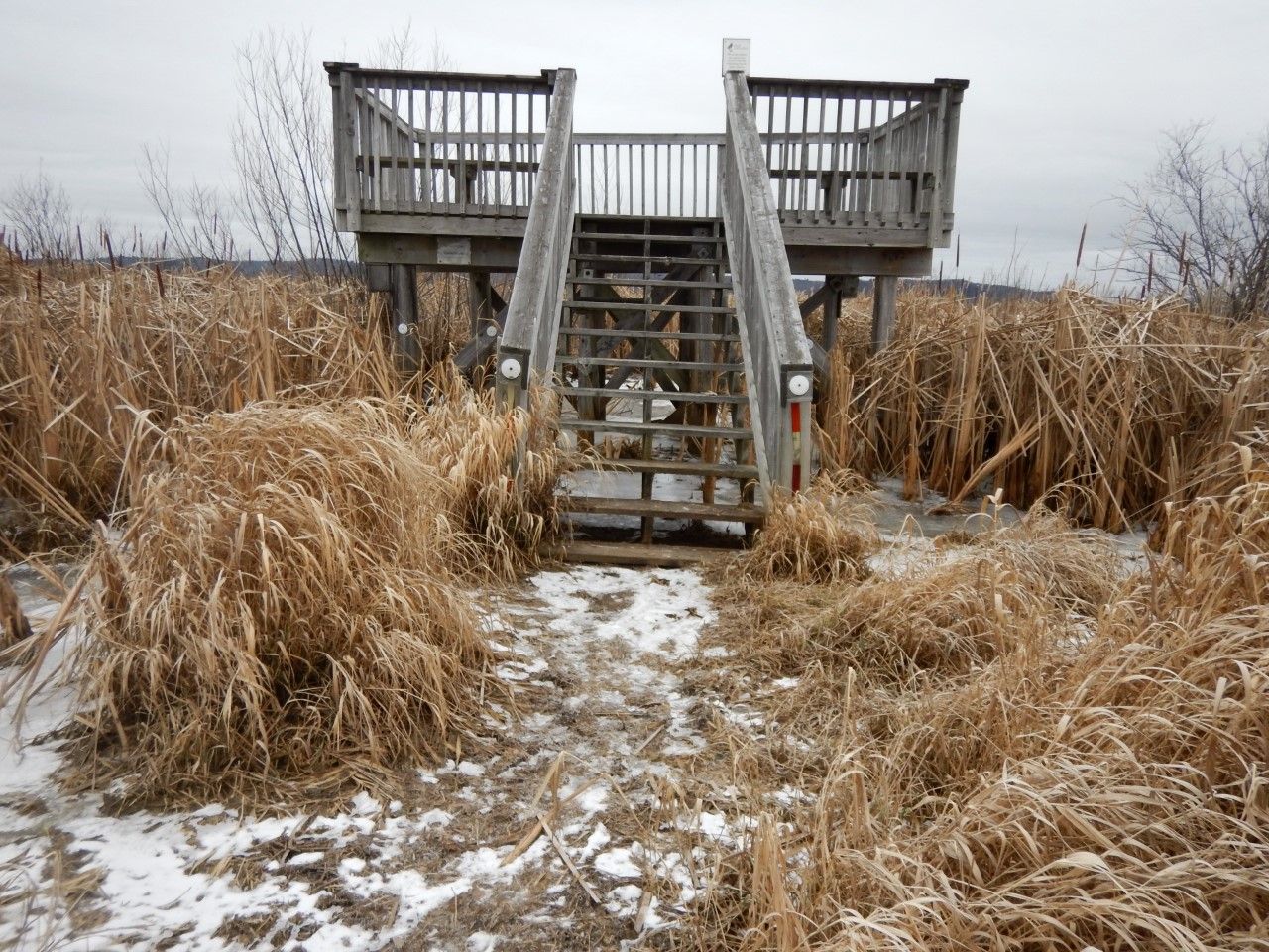 Walkway wanted to bird viewing platform | Sault Star