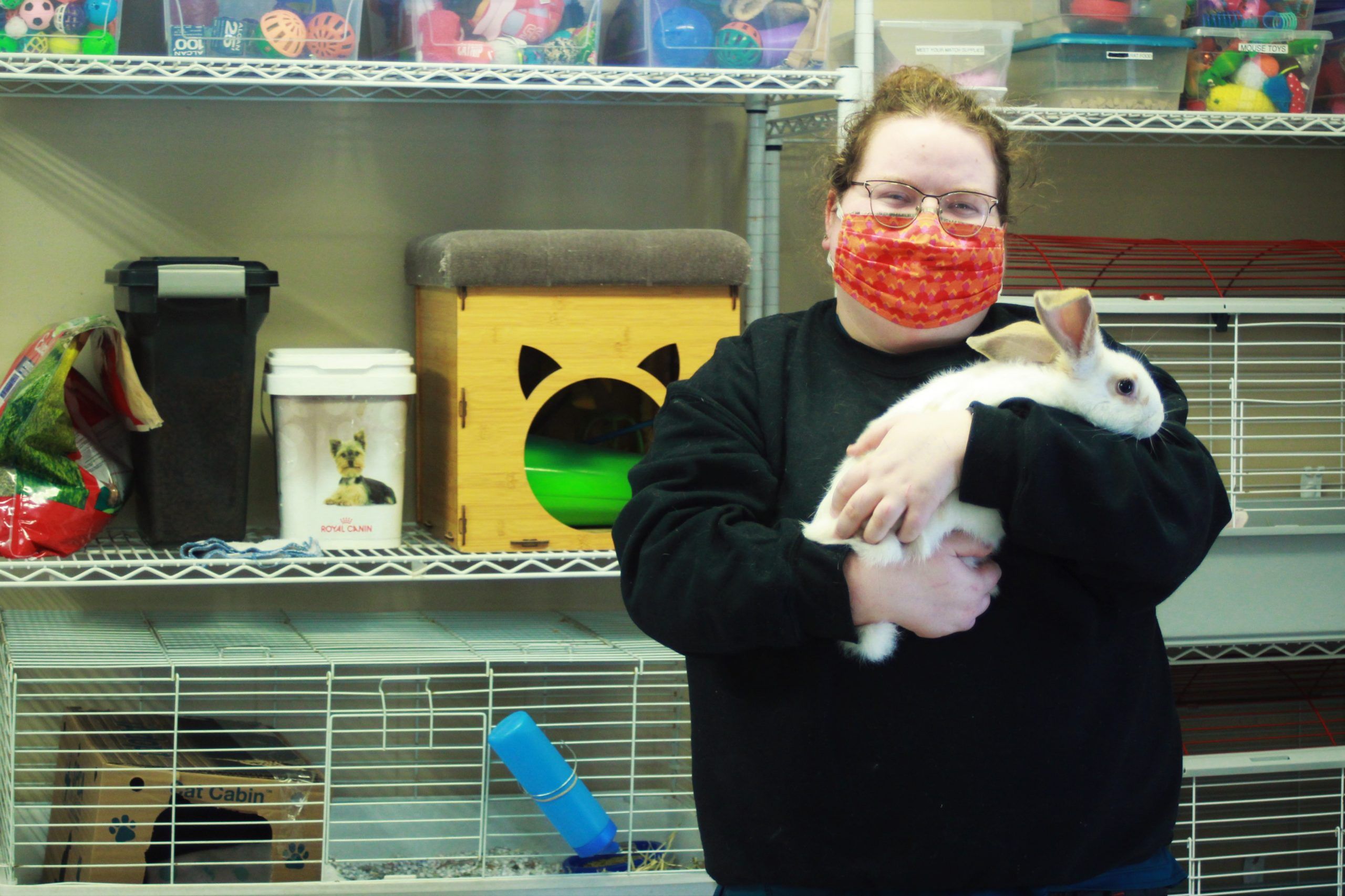 Adoptions resume at Brant County SPCA | Brantford Expositor