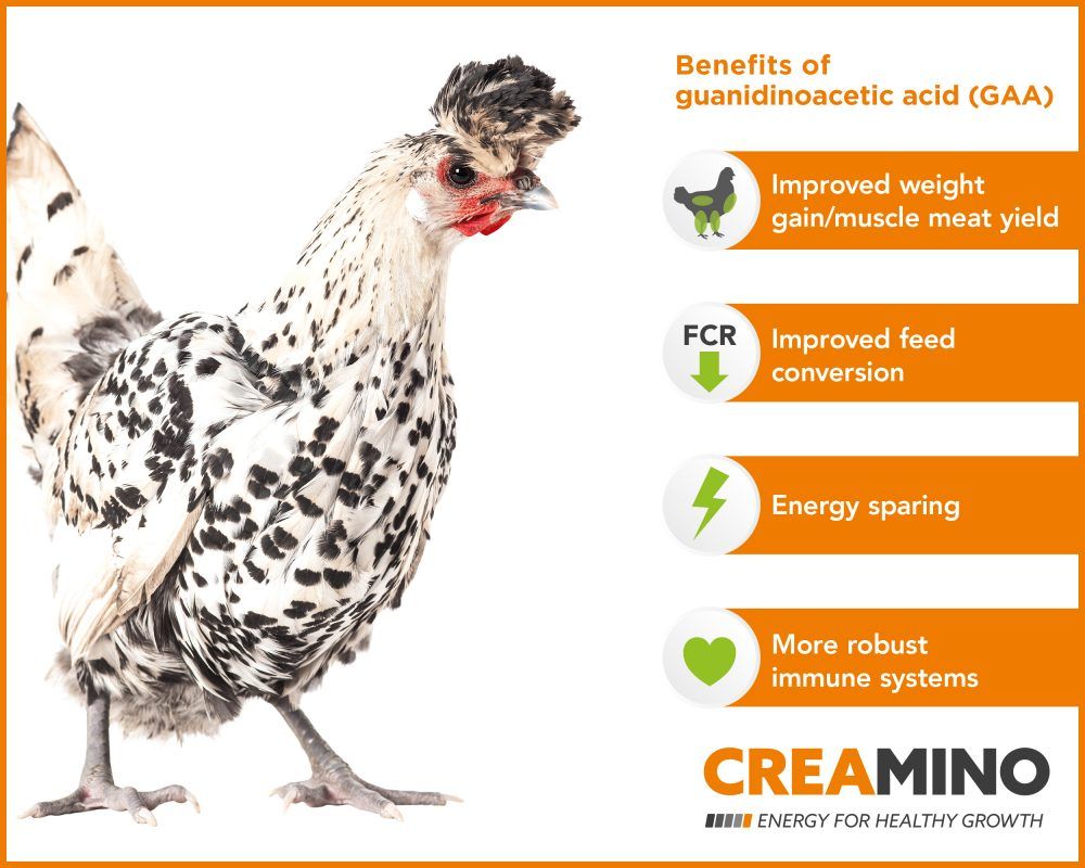 Protekta becomes distributor of Creamino | Ontario Farmer