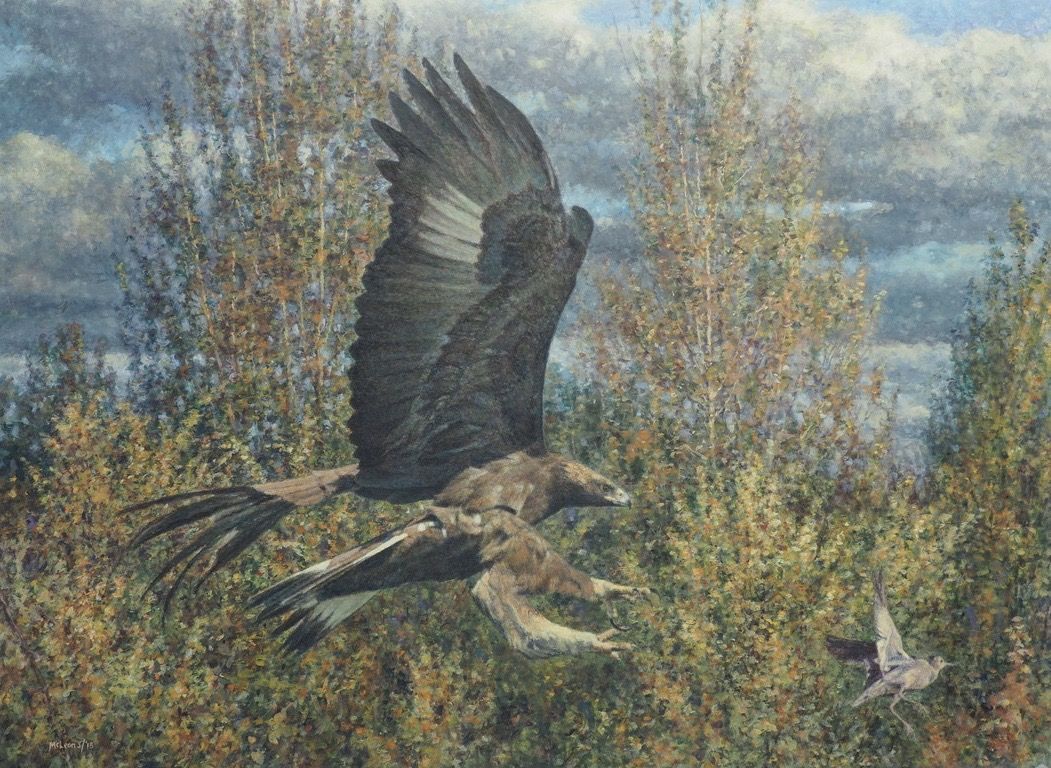 Bognor artist surprised, honoured to be named to Order of Ontario ...