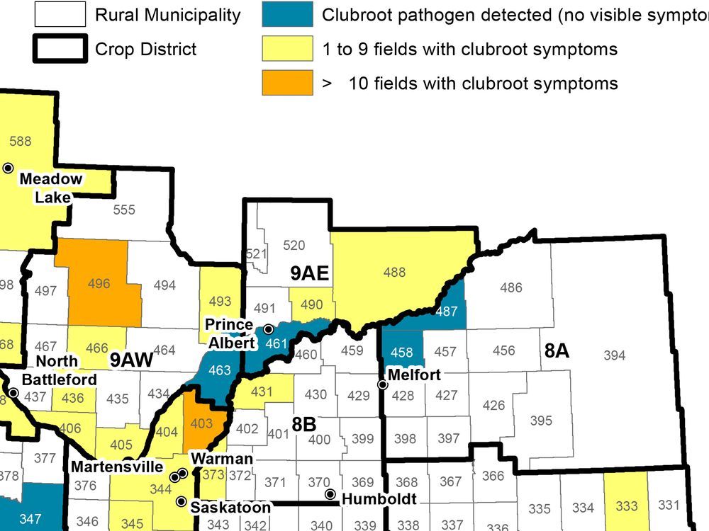 New map shows clubroot in North East | Nipawin Journal