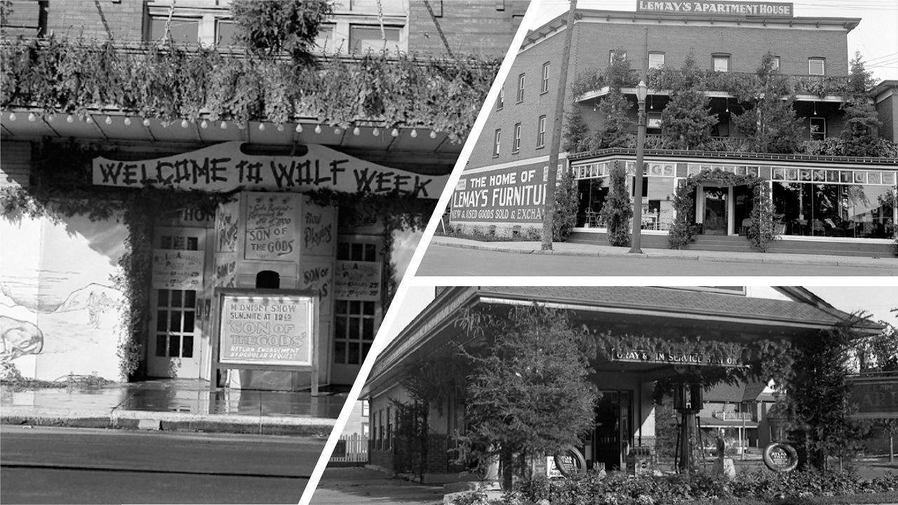 Wolf Week celebrated Indigenous culture | Sault Star