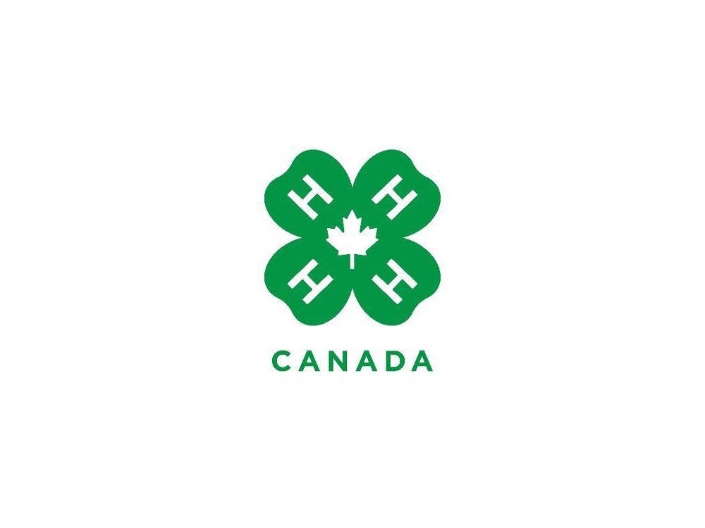 4-H clubs in SDG receive part of $100,000 donation | Cornwall Standard ...