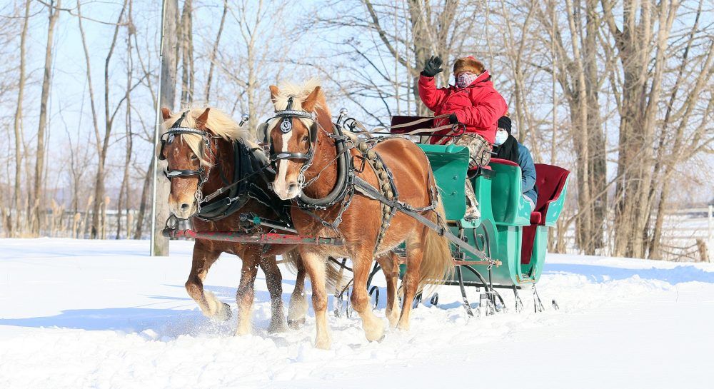 It's lovely weather for a sleigh ride together | Chatham Daily News