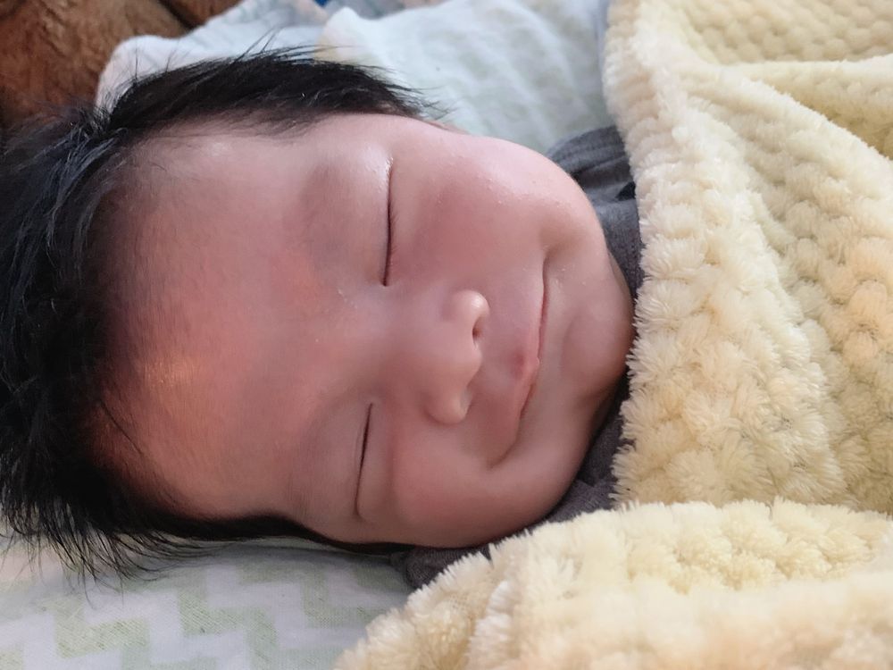 Meet Greater Sudbury's newest arrivals | Sudbury Star